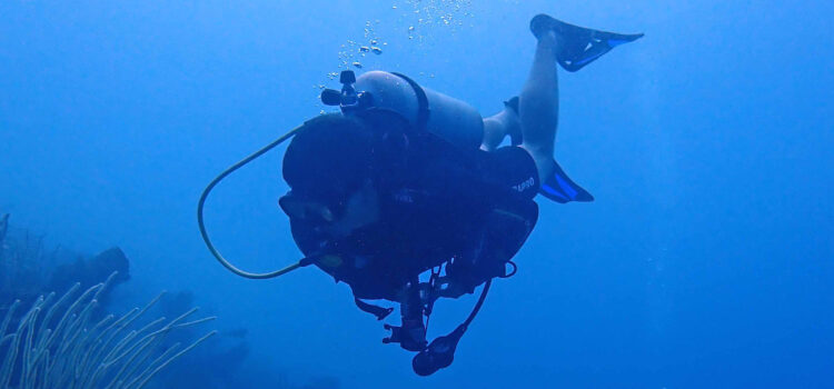 Culebra Divers - Dive Shop, Culebra, PR - Scuba Diving and Snorkeling