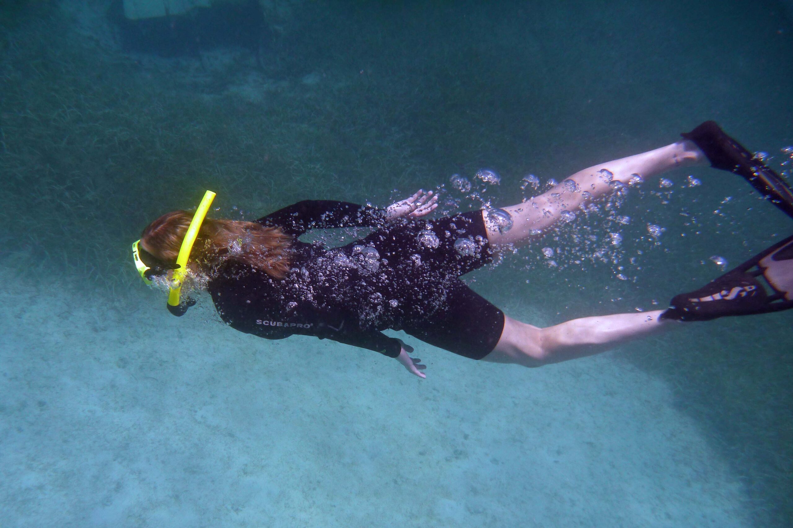 Snorkeling - Culebra Divers - Culebra, PR Dive Shop - Snorkeling